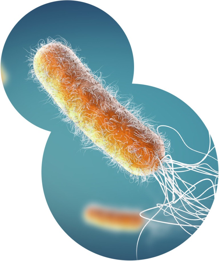 The Rise of Pseudomonas aeruginosa: Exploring its Threat to Healthcare