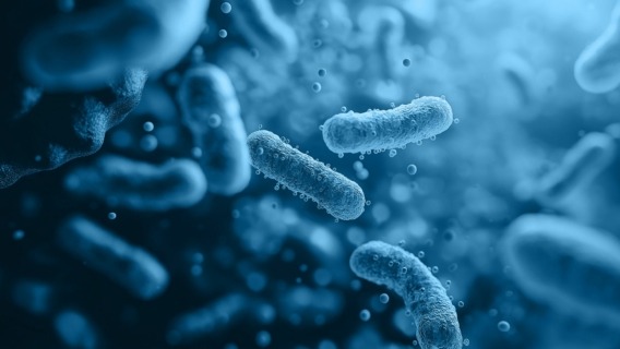 NETB No. 2024/3: Best Practices for Designing Safe Spaces for Patients ...