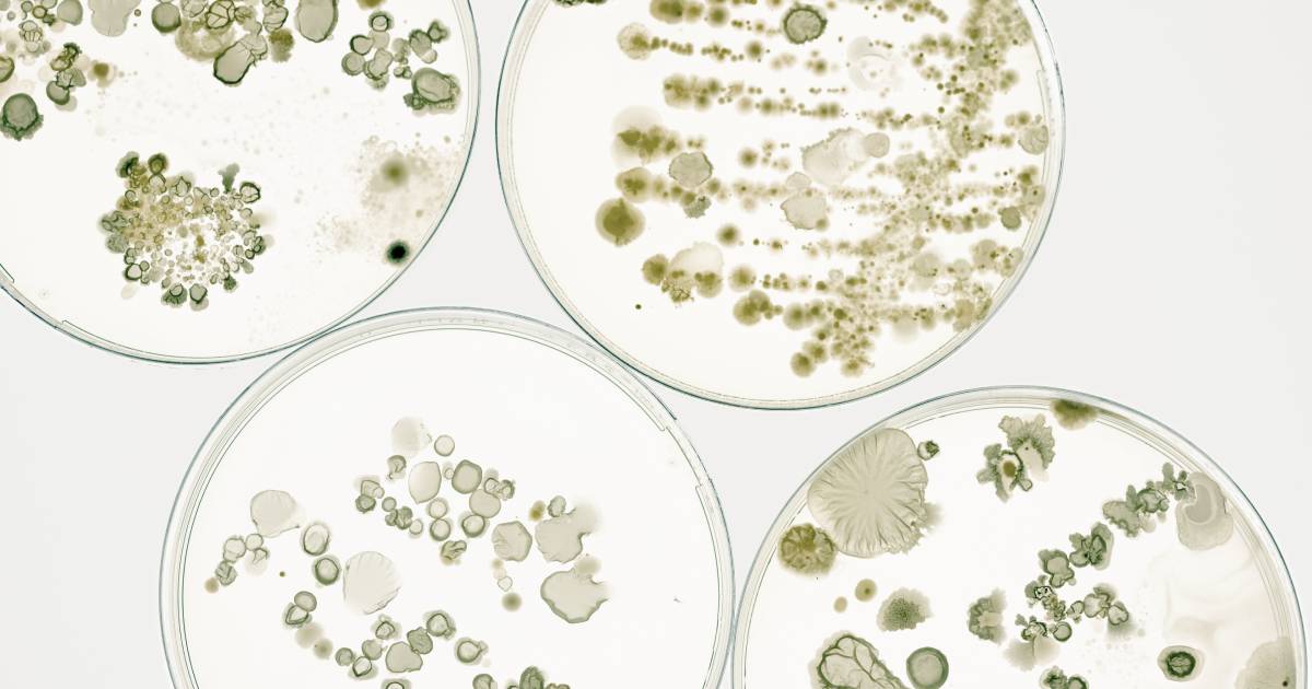 NETB 2024/03: Requirements for Point-of-Use Filter Validation - T-safe ...