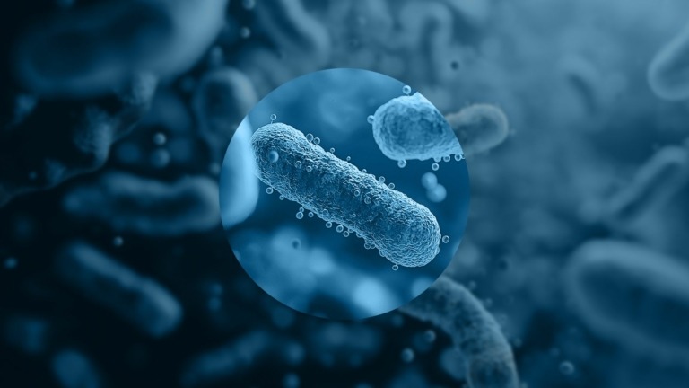 NETB No. 2024/3: Best Practices for Designing Safe Spaces for Patients ...